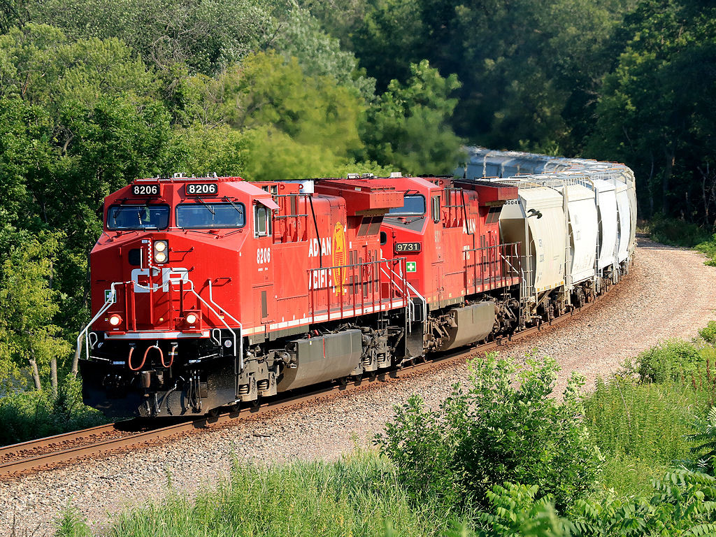CP 8206